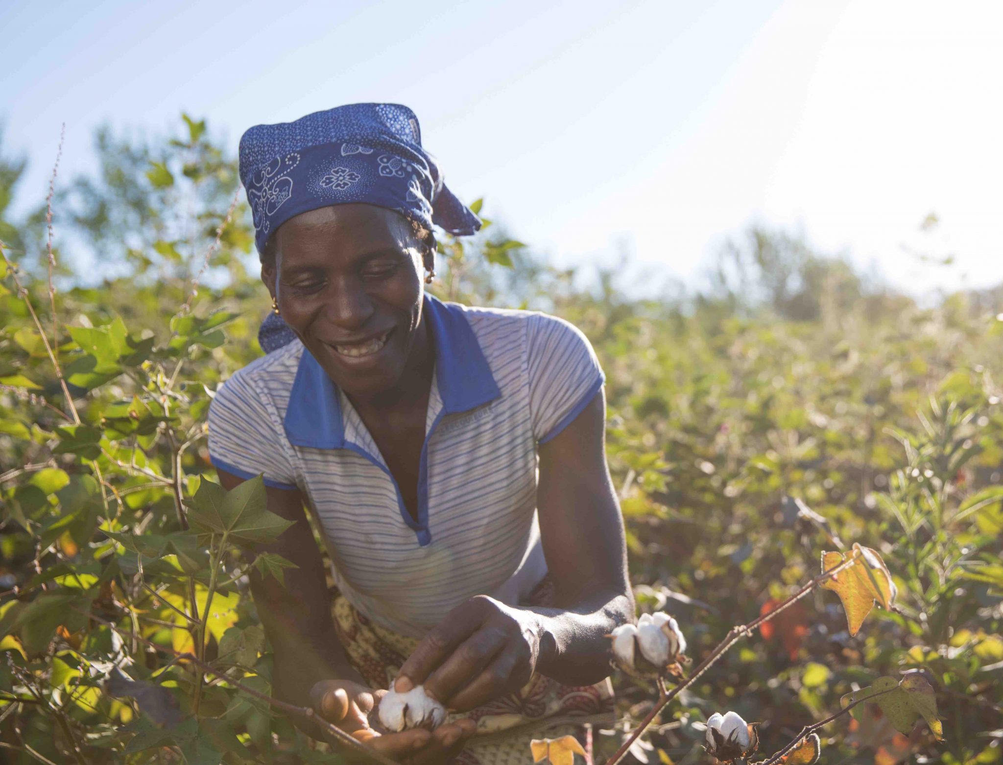 What we do - Solidaridad Network