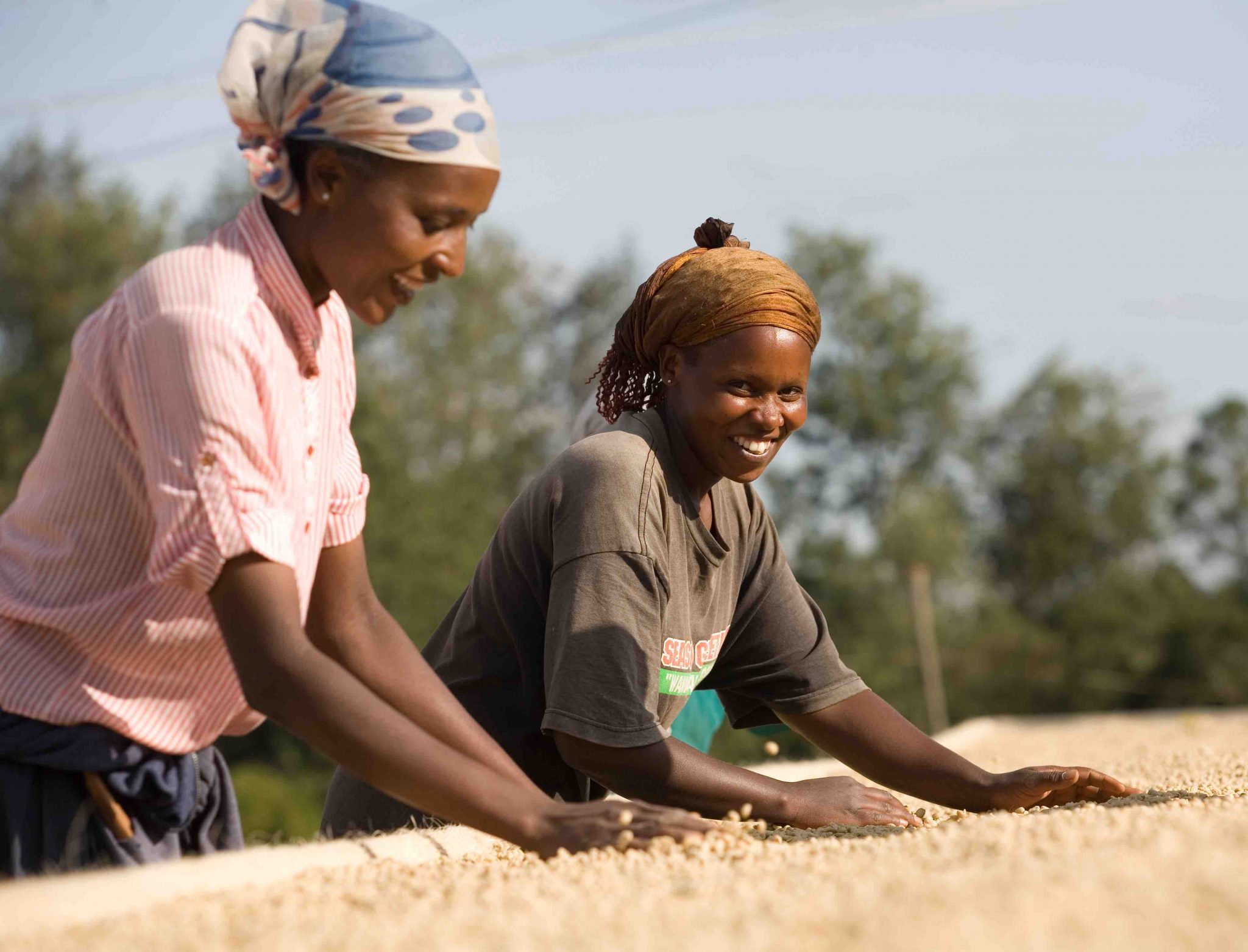 Who we are - Solidaridad Network