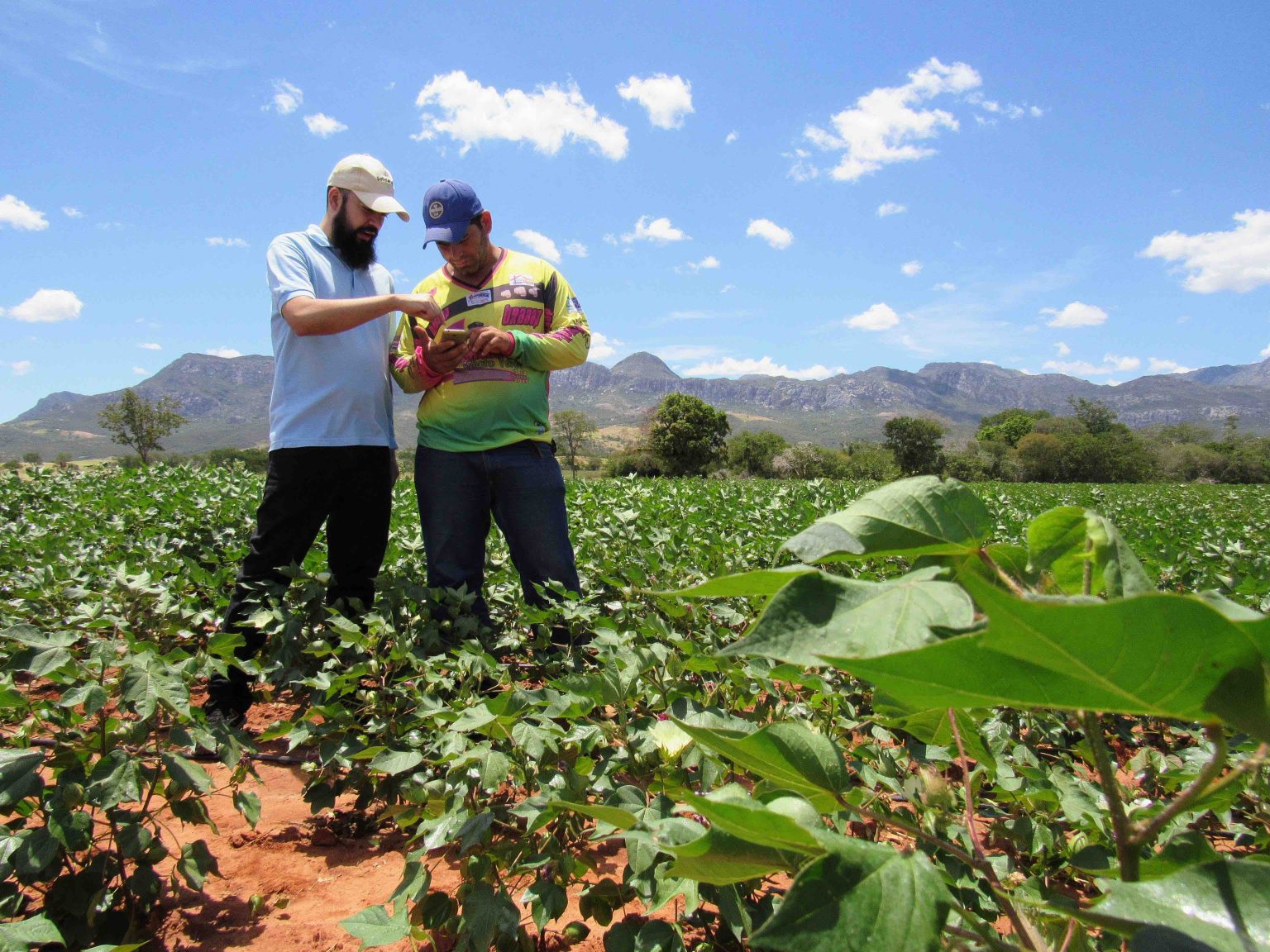 What we do - Solidaridad Network