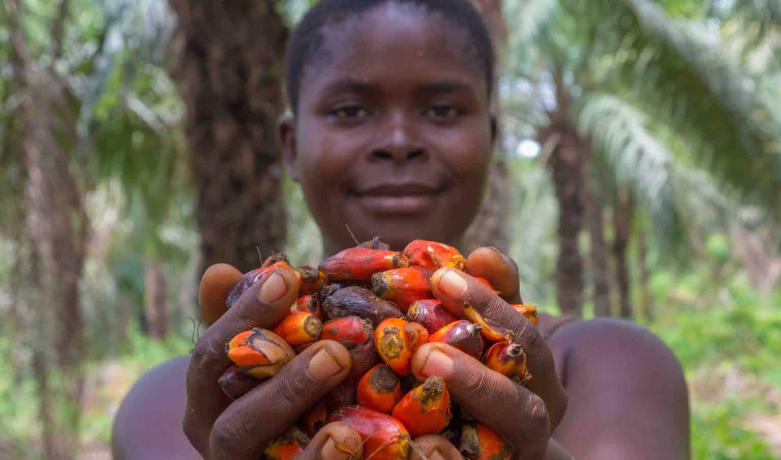 Palm Oil - Solidaridad Network