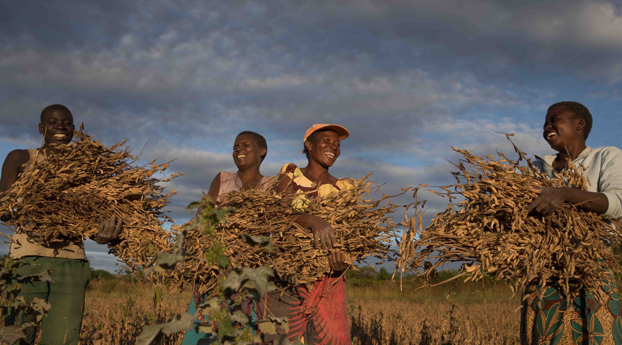 Soy - Solidaridad Network