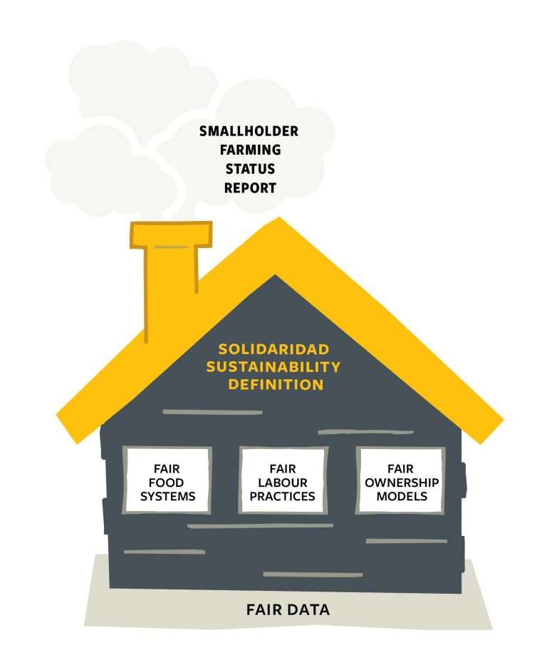 Strategy - Solidaridad Network