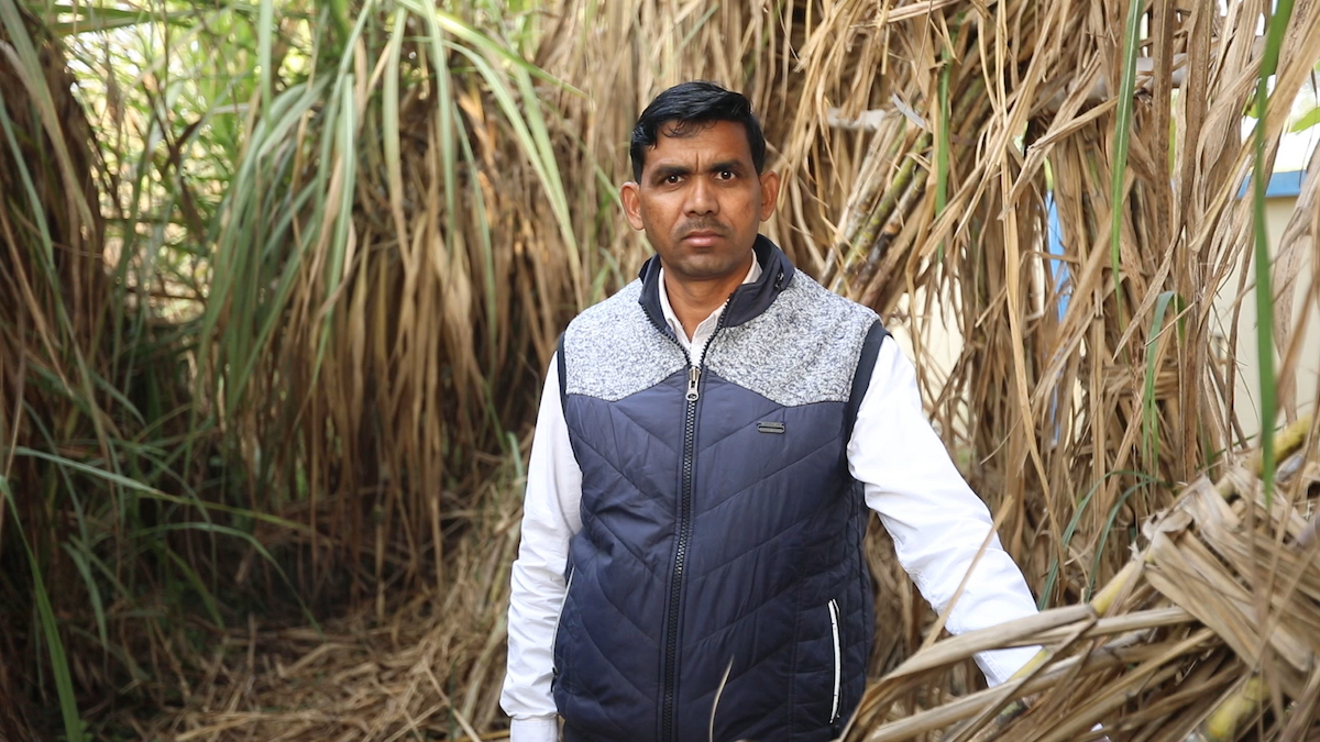 Arvind Kumar: Reaping the Harvest of Sustainability - Solidaridad