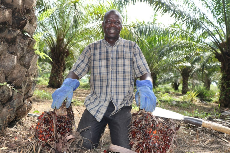 Integrating good practices in smallholder farm management - Solidaridad ...