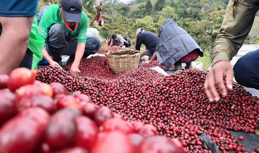 Central America - Solidaridad Network