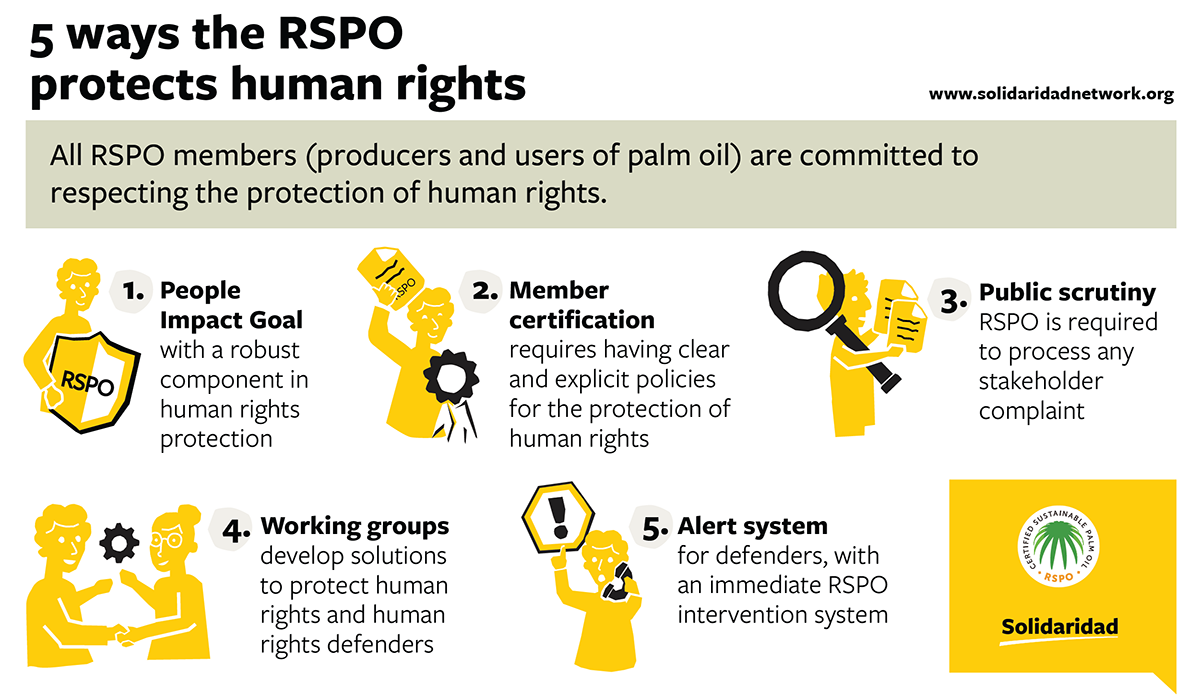 RSPO standard promotes social justice in palm oil - Solidaridad Network