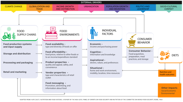 Navigating towards a new food system - Solidaridad Network