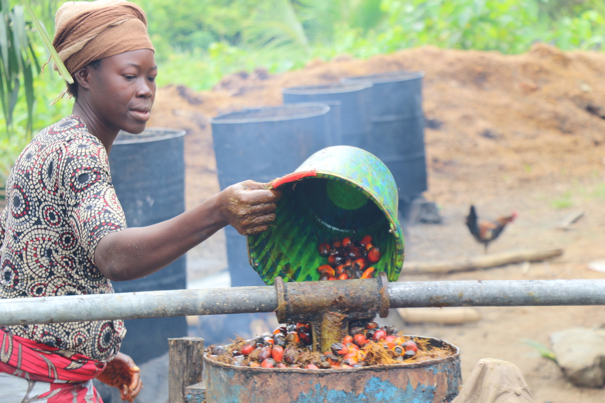 Empowering SMEs to support smallholder oil palm farmers in Liberia ...