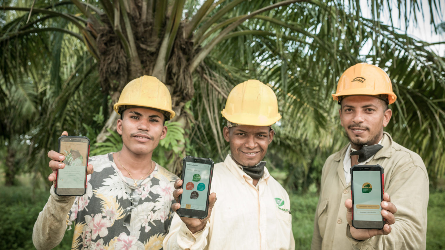 Sustainable Partnerships - Solidaridad Network