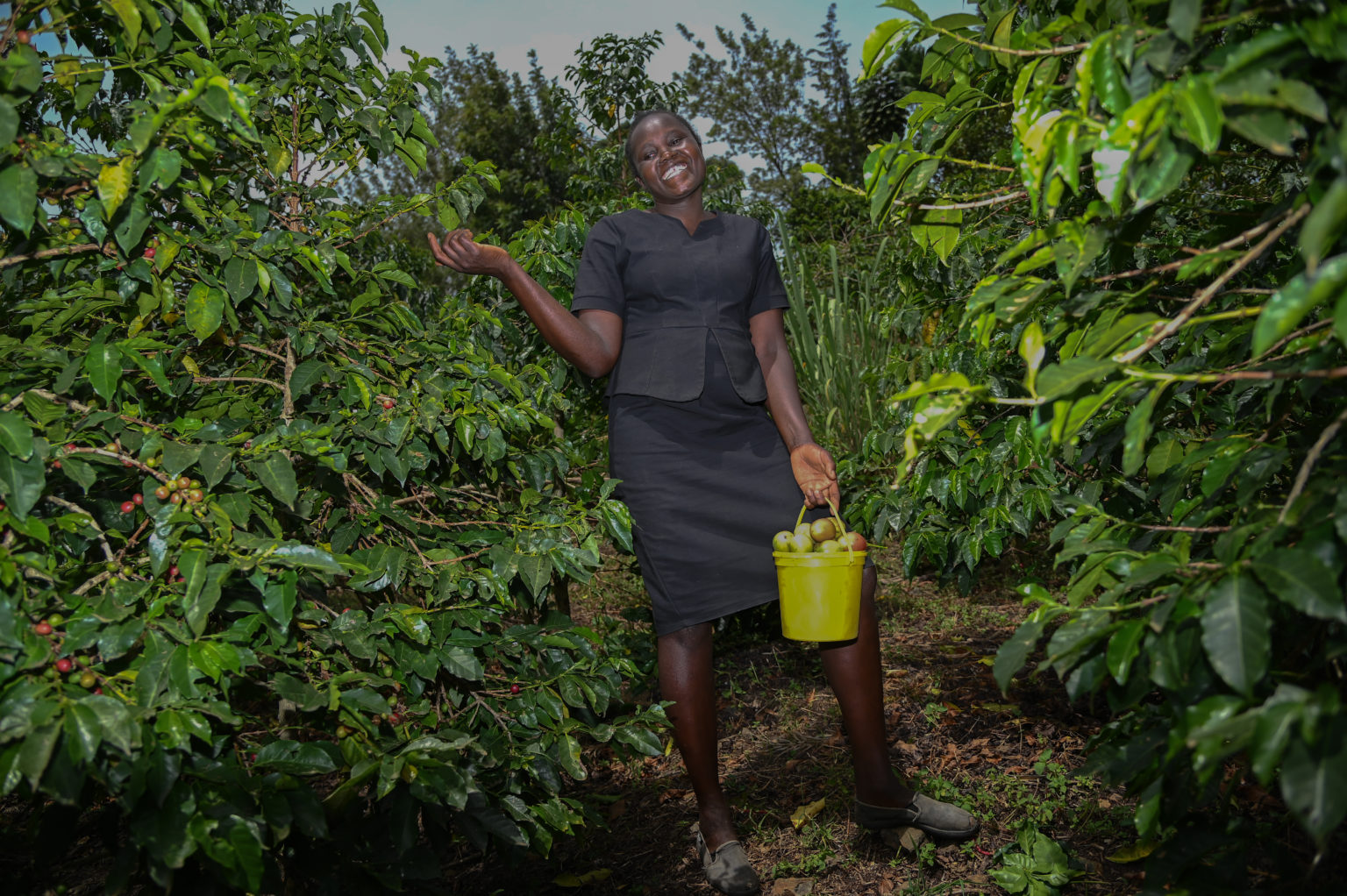 Meet one of the farmers behind Traceable Organic Coffee from Kenya ...