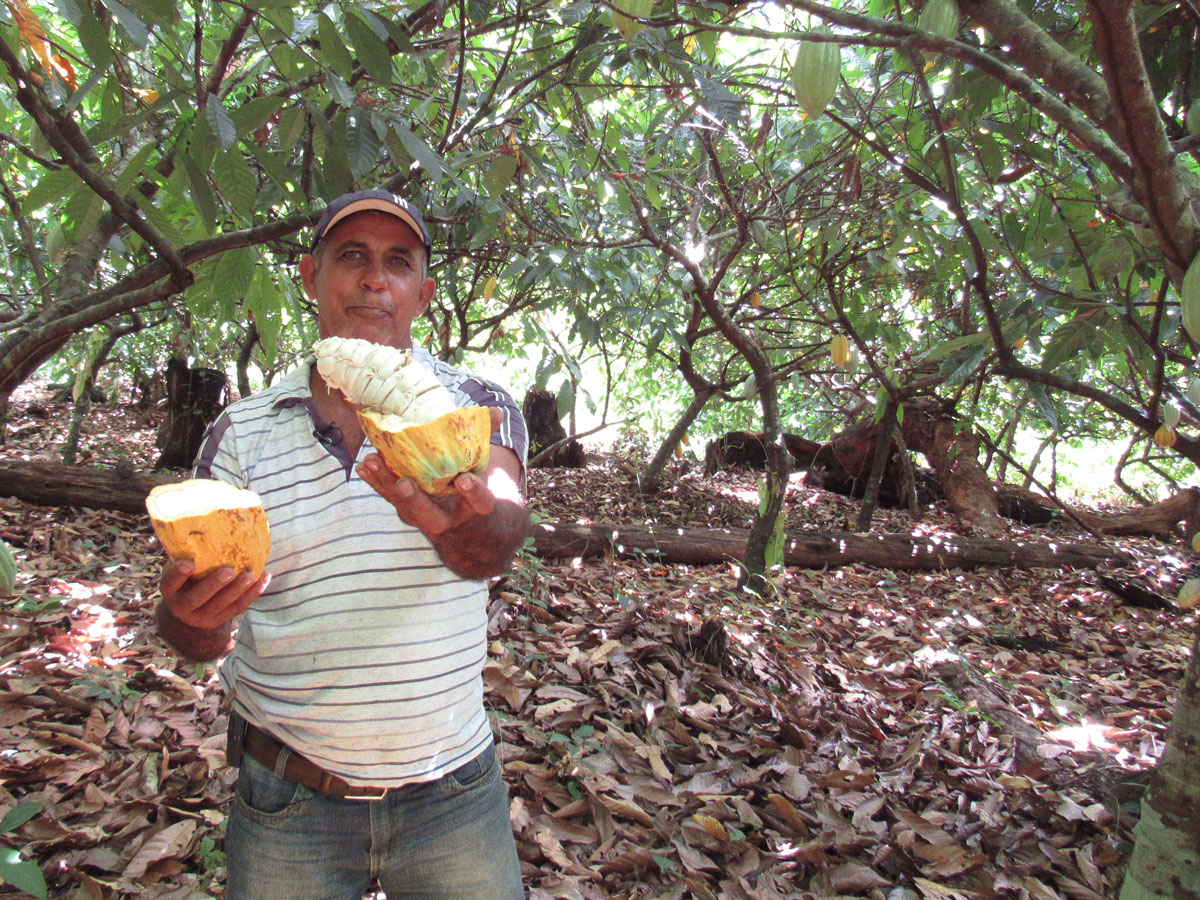 Rural Extension & Technical Support Services Show Potential For ...