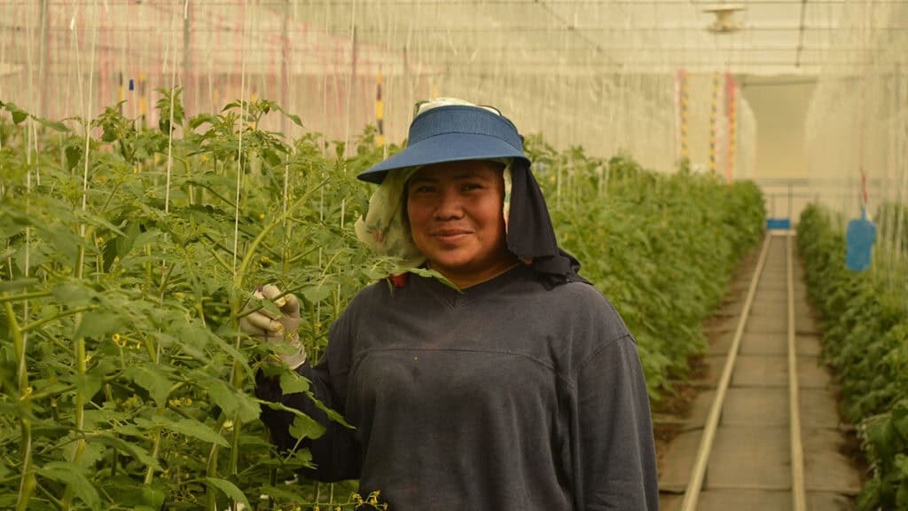 Partnership with Syngenta to improve labor conditions