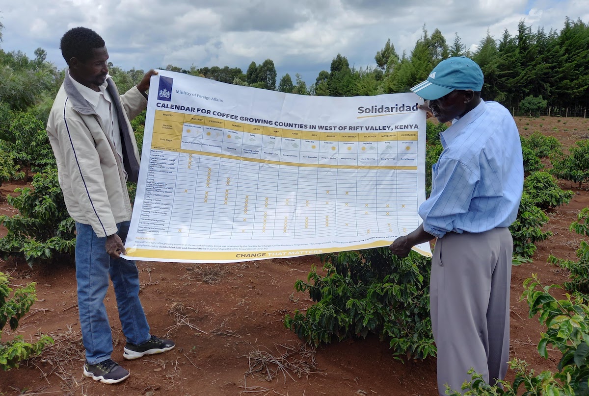 Young farmers in Kenya making a business case for coffee - Solidaridad ...