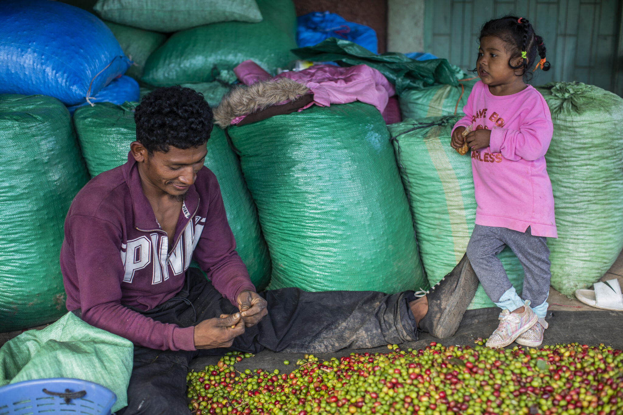 Coffee Barometer 2023 reveals worrying impact on smallholders ...