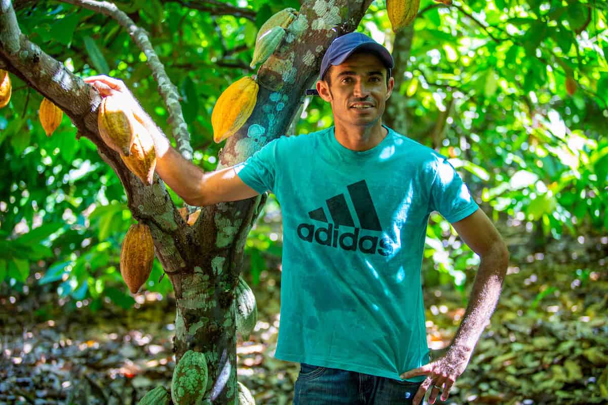 Crafting the world's finest cocoa in Brazil - Solidaridad Network