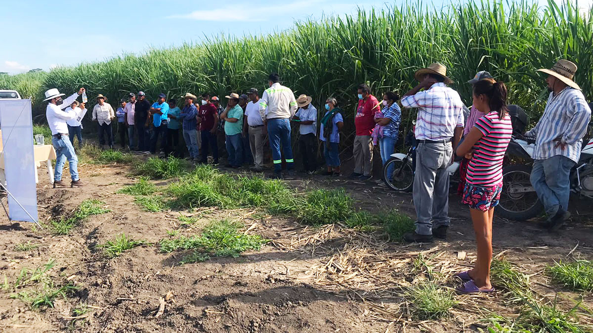 Community connections build a sustainable future for sugar ...