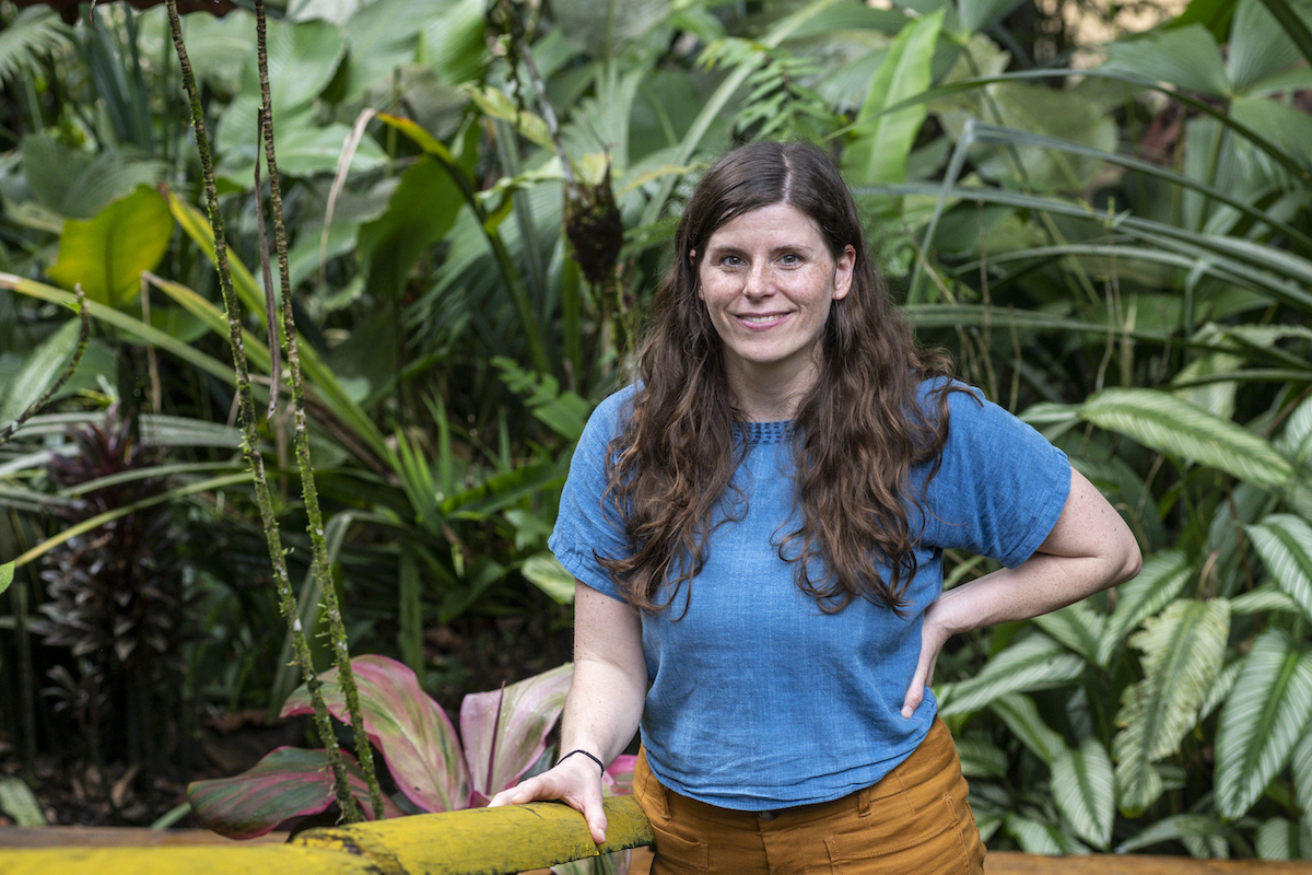 How monitoring and traceability tools contribute to conservation ...