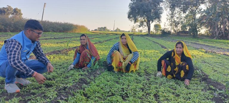Medicinal plant farmer groups in India receive top sustainability and ...