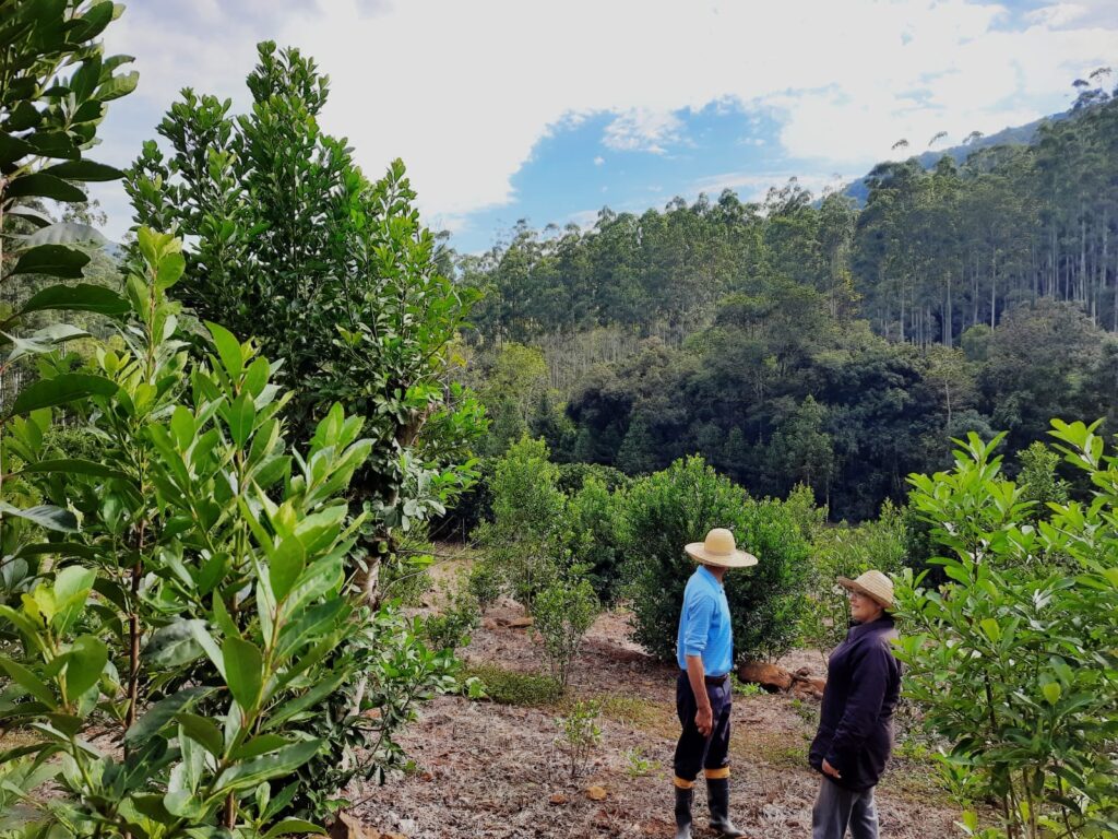 Latin America 2023 - Solidaridad Network