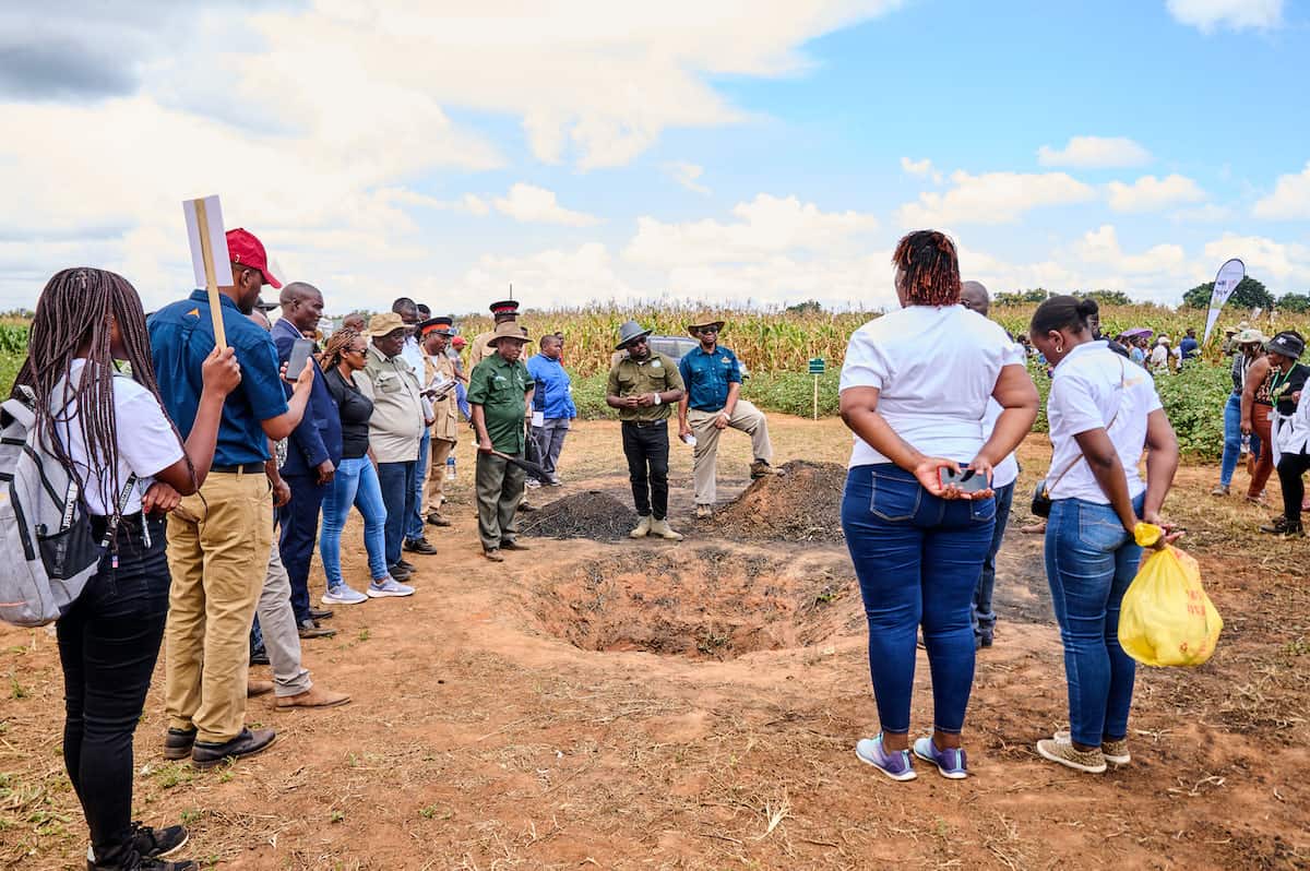 Biochar Revitalizes Cotton Farming in Zambia - Solidaridad Network