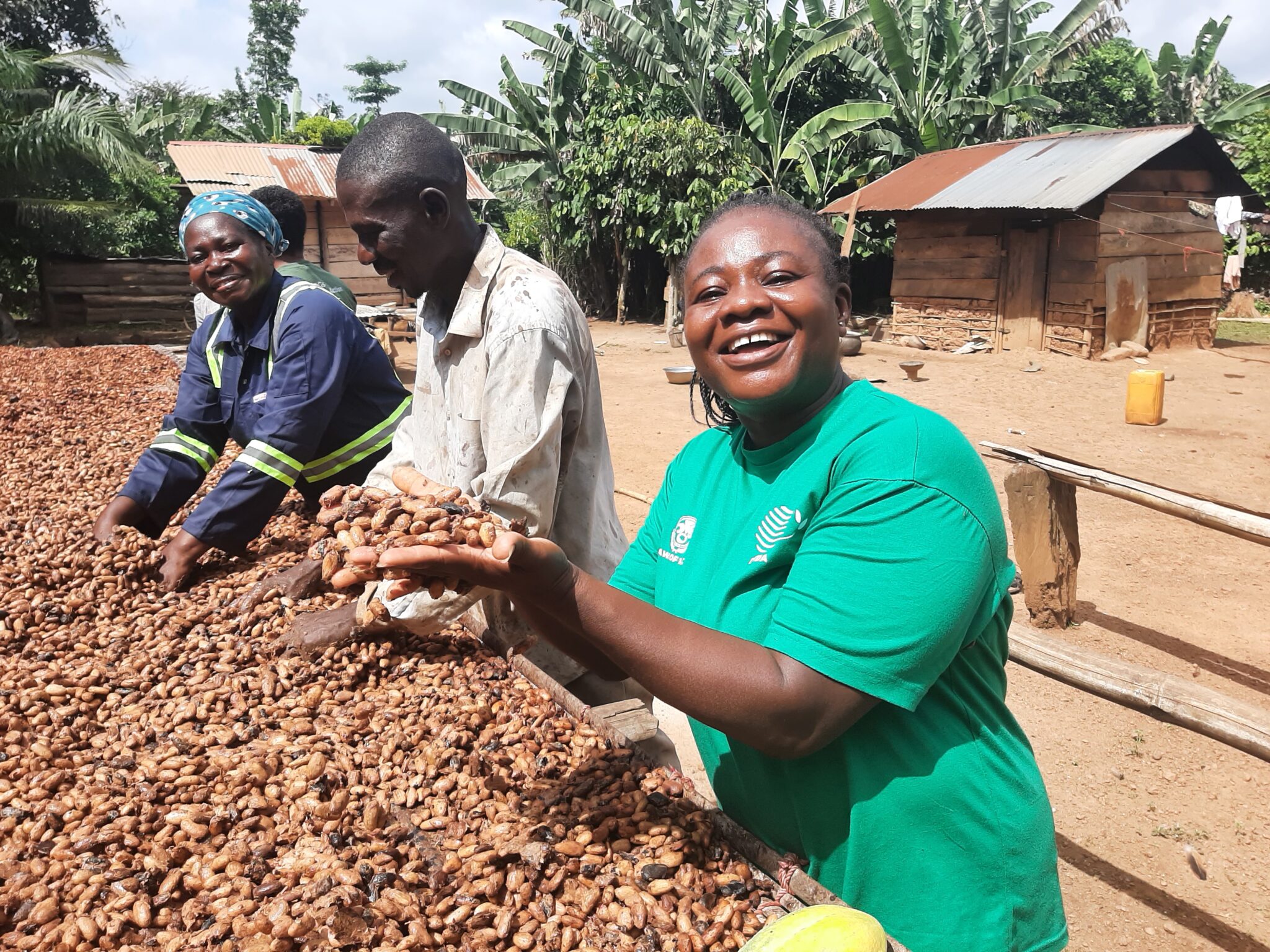 In the words of Faustina Aberor: Women's cocoa cooperative making ...