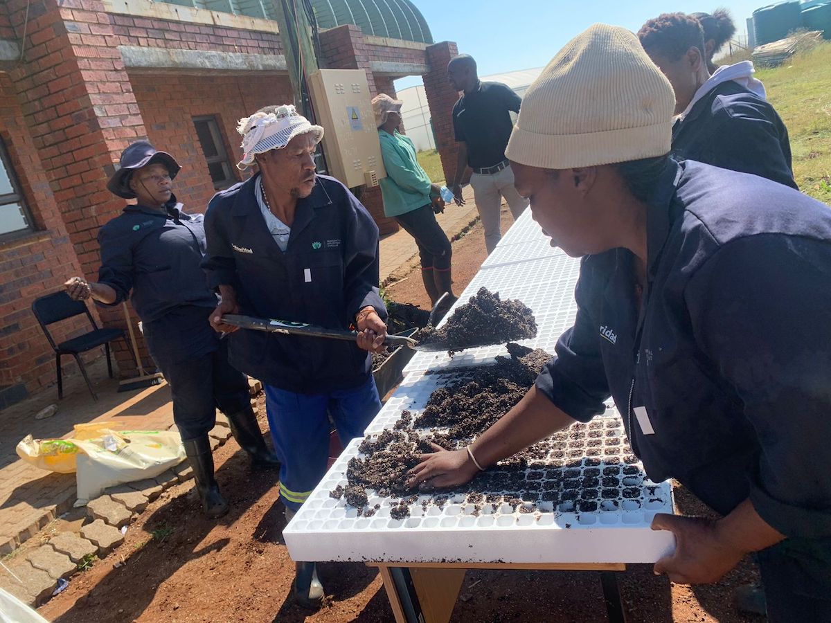 Celebrating the Transformation of Horticultural Value Chains in South Africa - Solidaridad Network