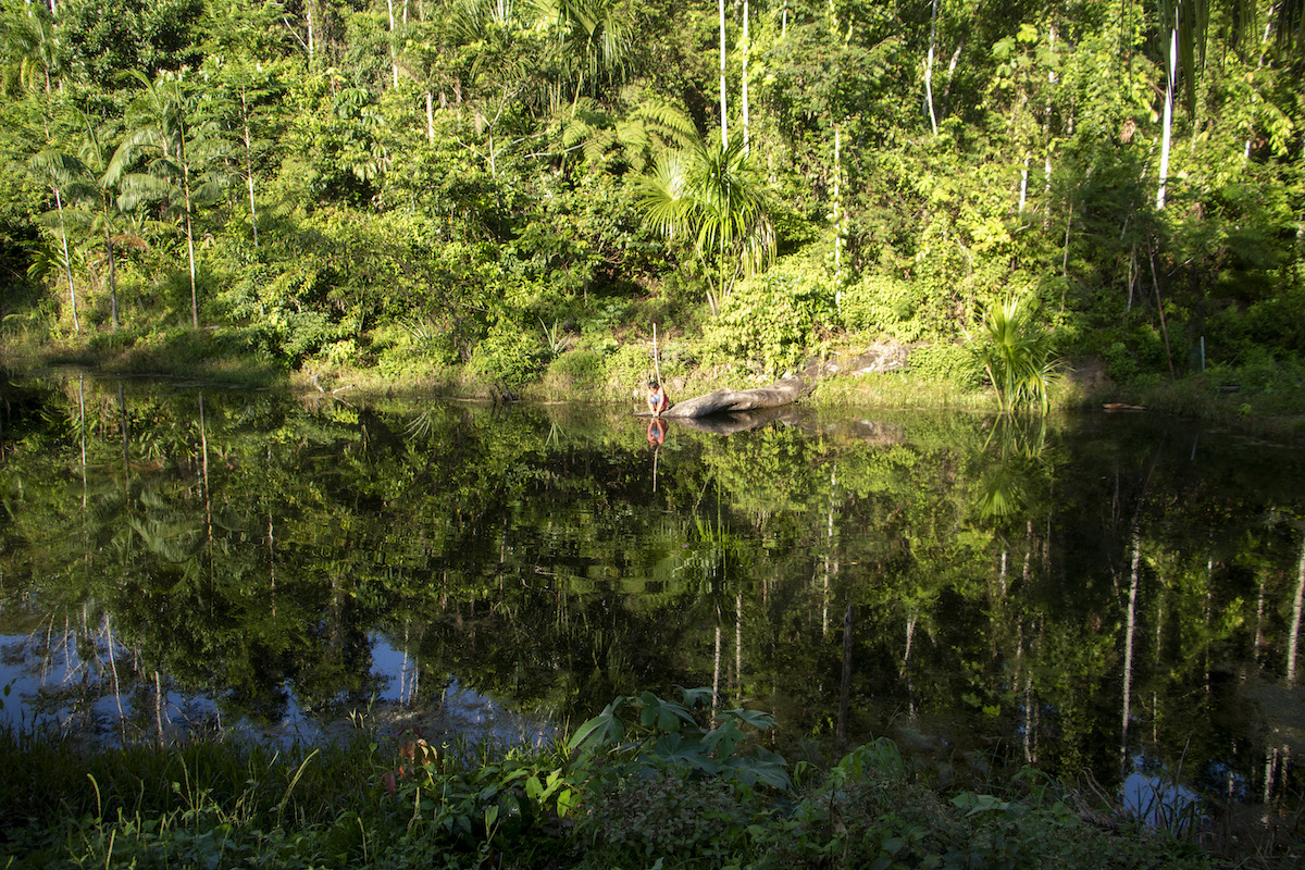 Manití Project in Peru: Conservation and bio-business - Solidaridad Network