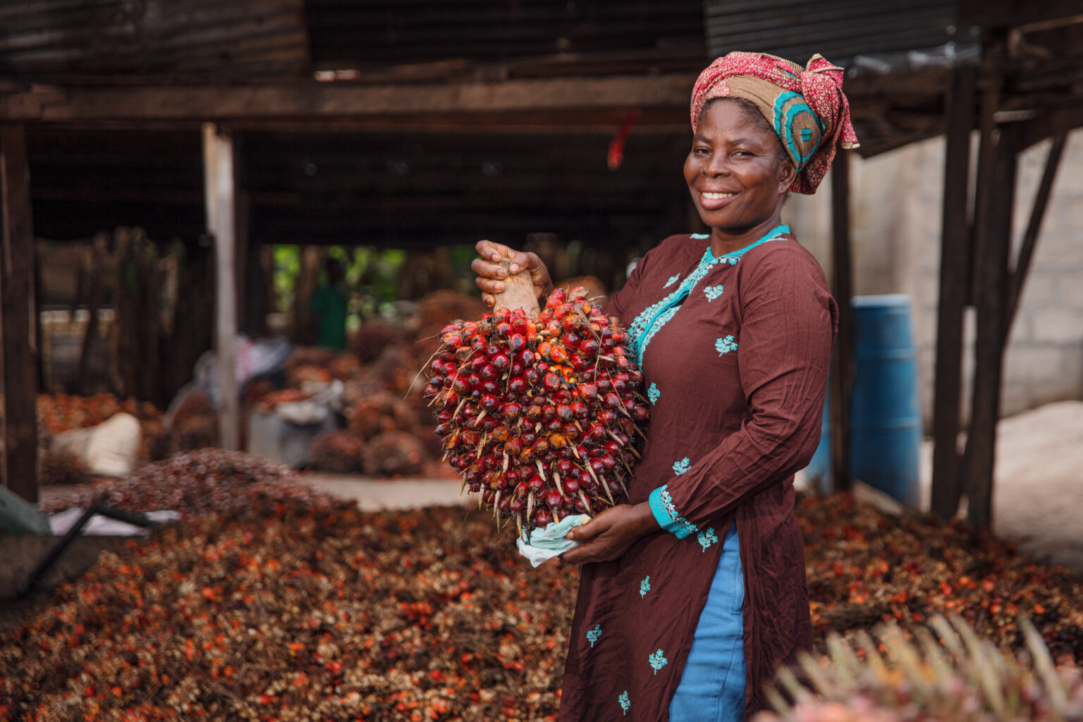 Southern Africa - Solidaridad Network