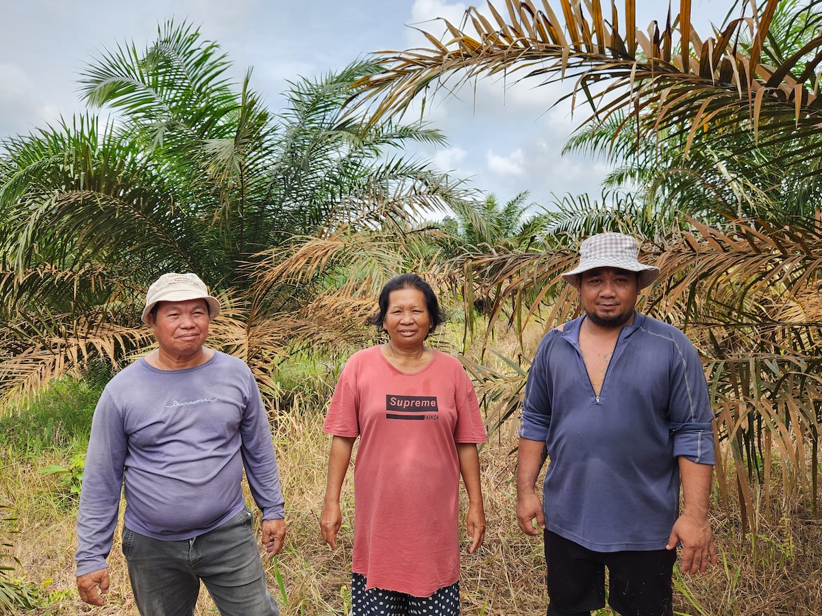 To New Beginnings: Oil Palm Smallholder Embraces Sustainability in ...