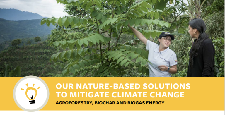 Nature-Based Solutions to Mitigate Climate Change - Solidaridad Network