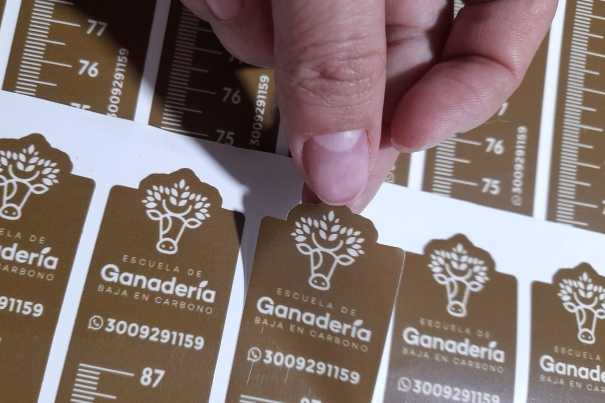 The grazing stick: Technology that transforms livestock management ...