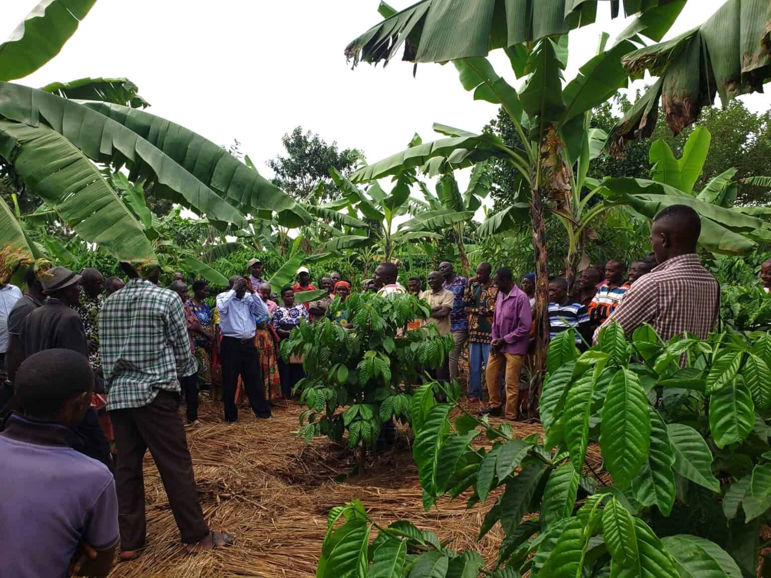 Beyond the Blueprint: Co-Designing Resilience in Smallholder ...