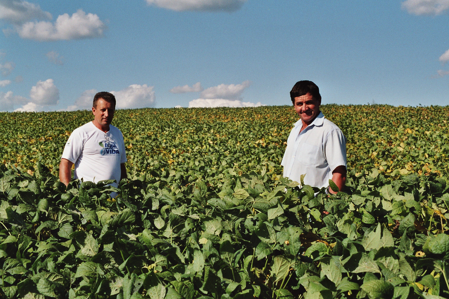 Protecting forests - Solidaridad Network