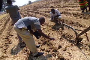 Sustainable Soy Production: TechnoServe Inc. and Solidaridad team up in ...