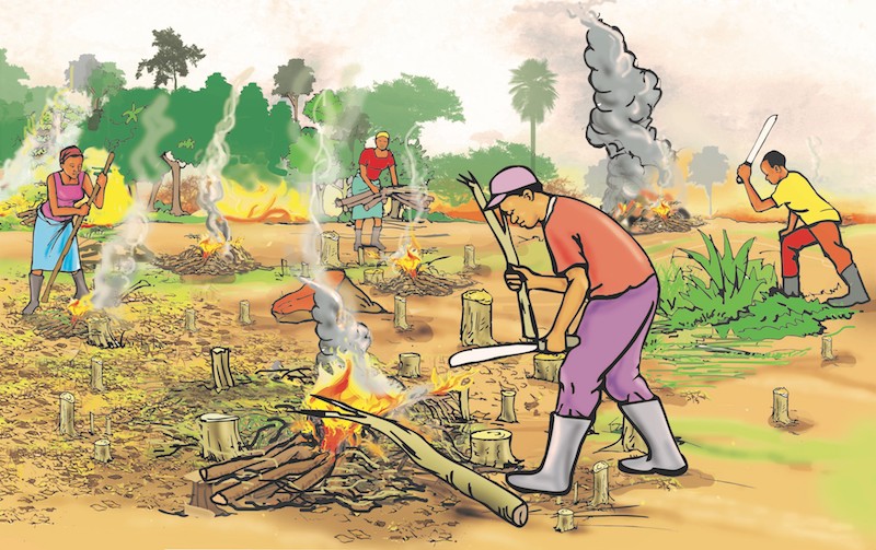 On World Environment Day We Put the Spotlight on Smallholder Farmers ...